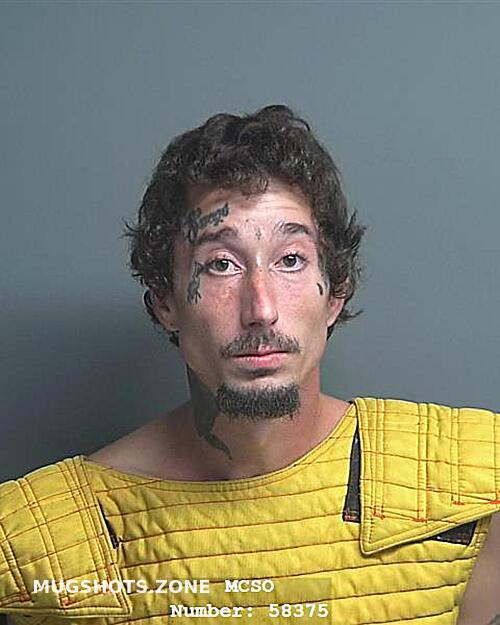 FEDLANDER CORBIN TYLER II 10/23/2025 - Montgomery County Mugshots Zone