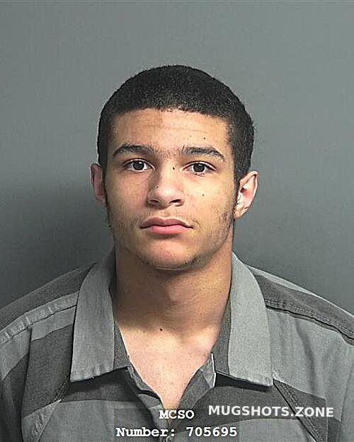 JOHNSON BENJAMIN RUDOLPH 01/24/2026 - Montgomery County Mugshots Zone