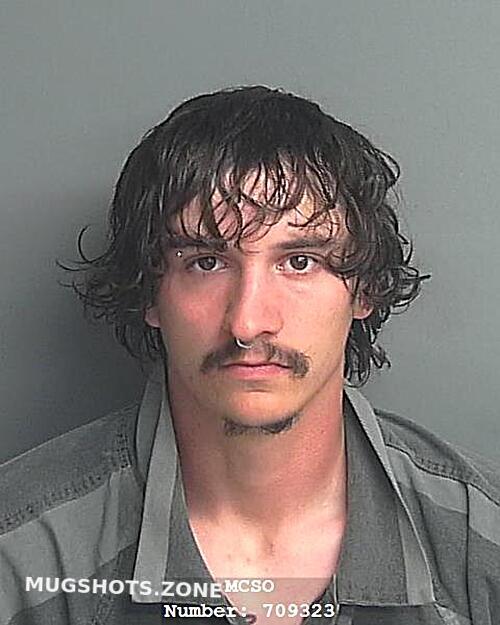 MCCELLON DILLON CHRISTOPHER 02/14/2026 - Montgomery County Mugshots Zone