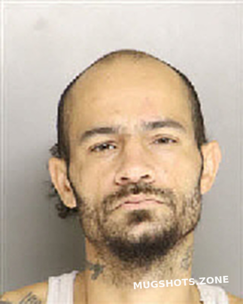 MITCHELL DAVID WEBSTER 06/27/2025 - Moore County Mugshots Zone