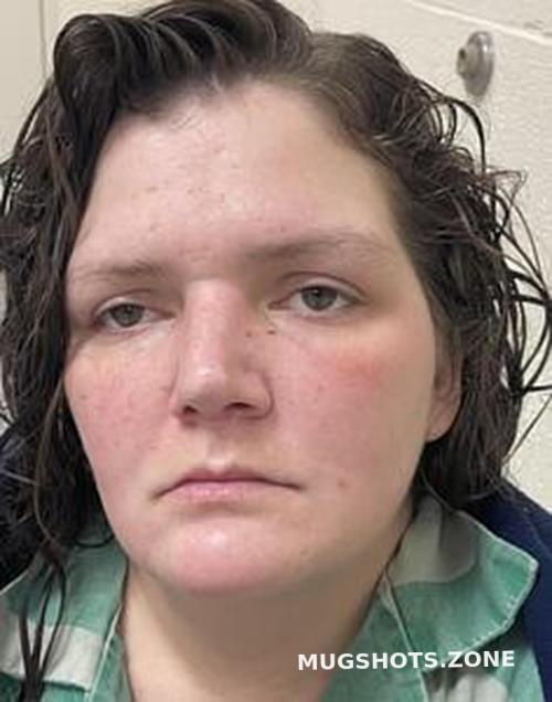 ELIZABETH MCDOWELL COOK 11/16/2022 - Morgan County Mugshots Zone