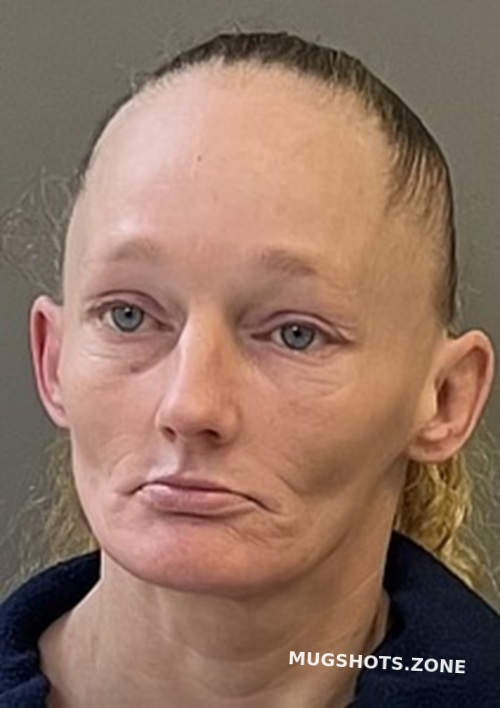 SHANNON ELIZABETH BERMINGHAM 03/25/2023 - Morgan County Mugshots Zone