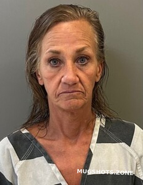 SANDI COLLIER ROWE 08/20/2023 - Morgan County Mugshots Zone