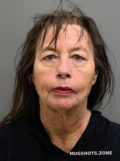 VICKY DARLENE SUGGS 04/11/2024 - Morgan County Mugshots Zone