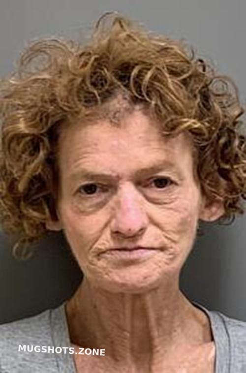 TINA LANG COOK 04/25/2024 - Morgan County Mugshots Zone