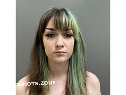 BRILEY RAYNE DAVIS 04/28/2024 - Morgan County Mugshots Zone