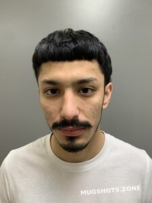 CHISTOPHER SANCHEZ PINA 06/03/2024 - Morgan County Mugshots Zone