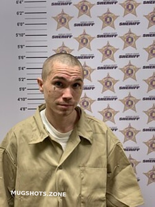 TIMOTHY JAMES SEEVERS 02/03/2025 - Morgan County Mugshots Zone