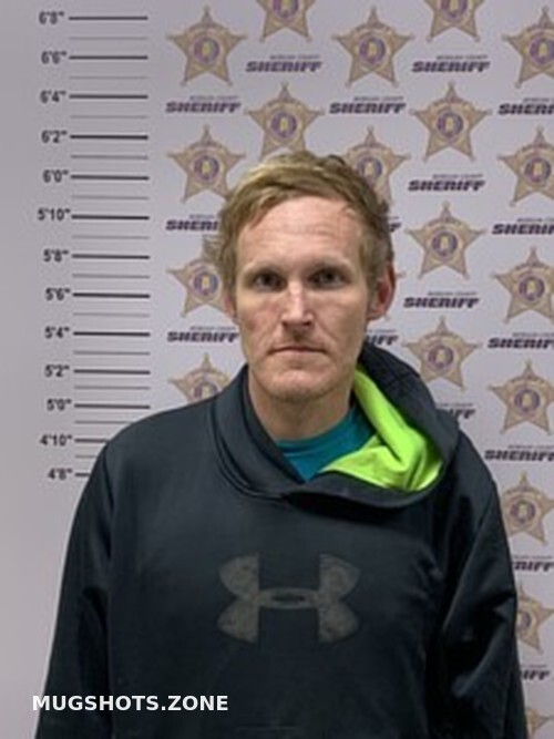 LEE ROY BROWN JR 03/17/2025 - Morgan County Mugshots Zone