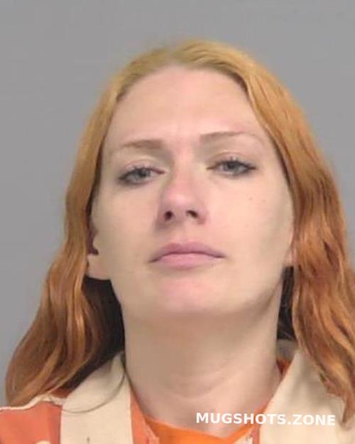 HIGGINS BREANN CYNTHIA 04/24/2024 - Nassau County Mugshots Zone