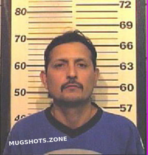 YBARRA RICHARD LEE 04/04/2022 - Navarro County Mugshots Zone