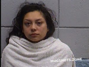 DESKIN CARLEY MICHELLE 07/02/2022 - Navarro County Mugshots Zone