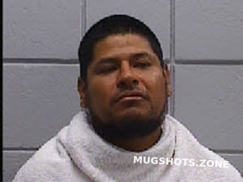 TORRES FAVELA MARIO ALFREDO 07/09/2022 - Navarro County Mugshots Zone