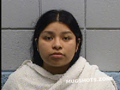 PINEDA ITZEL 11/24/2022 - Navarro County Mugshots Zone
