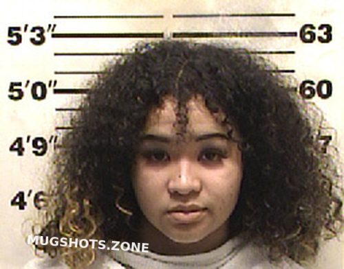 WATKINS TIFFANY ANN 11/03/2023 - Navarro County Mugshots Zone