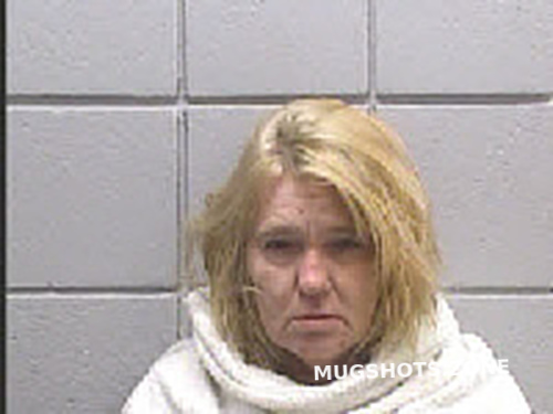 DAVIS STACY GENELLE 11/06/2023 - Navarro County Mugshots Zone