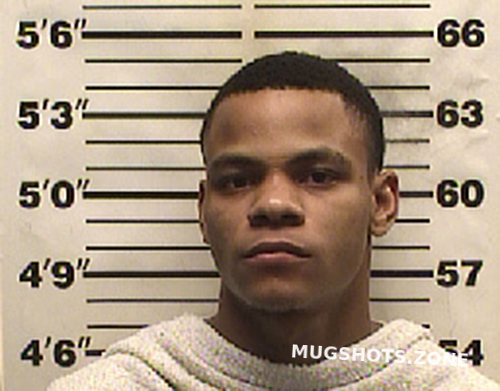 FORD MICHAEL ANTHONY 03/23/2024 - Navarro County Mugshots Zone
