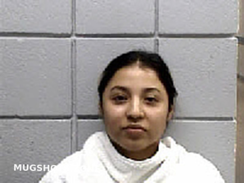 SANDOVAL LISETTE MALINALY 04/18/2024 - Navarro County Mugshots Zone