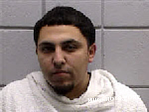 PARGAS ROMAN MARTIN 02/10/2025 - Navarro County Mugshots Zone