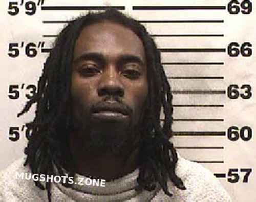 STOKES LIDGE DEXTER 02/23/2025 - Navarro County Mugshots Zone