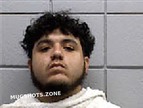 YBARRA LOGAN RAY 03/14/2025 - Navarro County Mugshots Zone