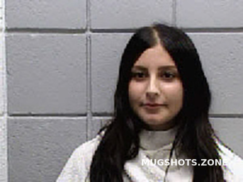 JONES ALEXIS GAIL 03/29/2025 - Navarro County Mugshots Zone