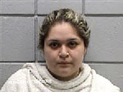 RAMIREZ VALERIA NAYELY 04/20/2025 - Navarro County Mugshots Zone