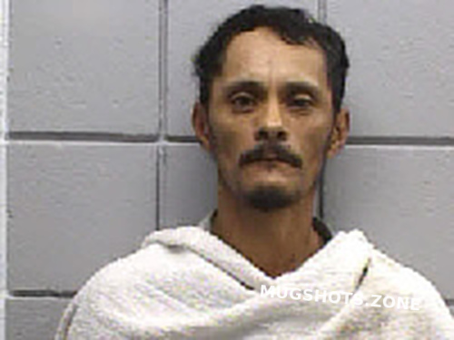 PITONES PABLO 05/13/2025 - Navarro County Mugshots Zone