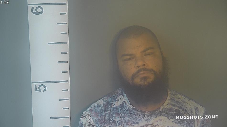 RILEY MICHAEL STEVEN 11/14/2024 - Nelson County Mugshots Zone