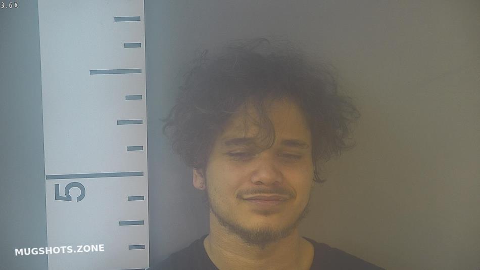 CLARKE ISAIAH TRAEVON 02/15/2025 - Nelson County Mugshots Zone