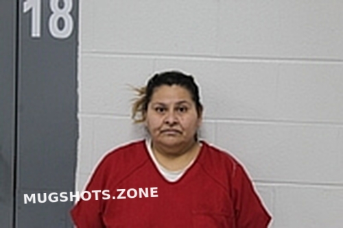 AGUILAR ANNA 02/20/2025 - Nevada County Mugshots Zone