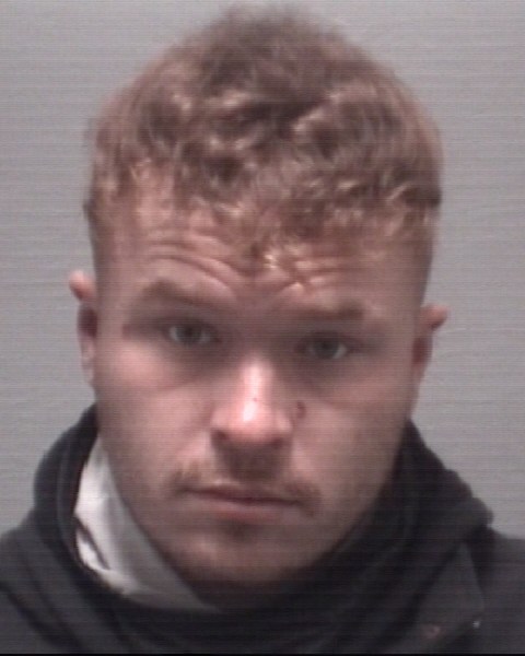 DEWOLF ADAM NORBERT 02/11/2021 - New Hanover County Mugshots Zone