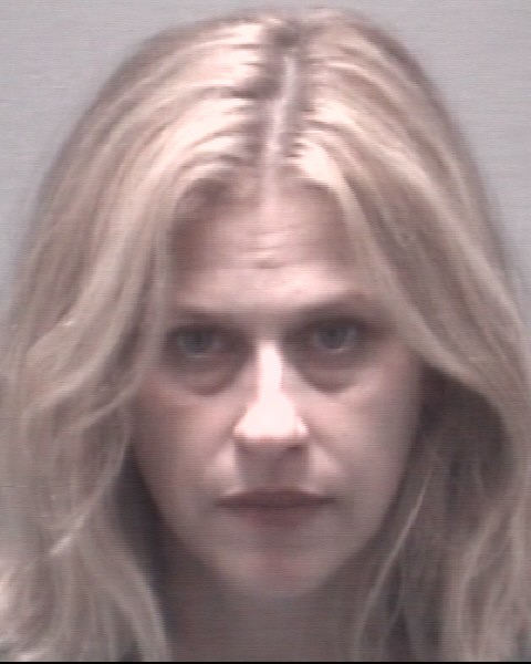 HOWLAND ELIZABETH HARDEE 02/21/2021 - New Hanover County Mugshots Zone