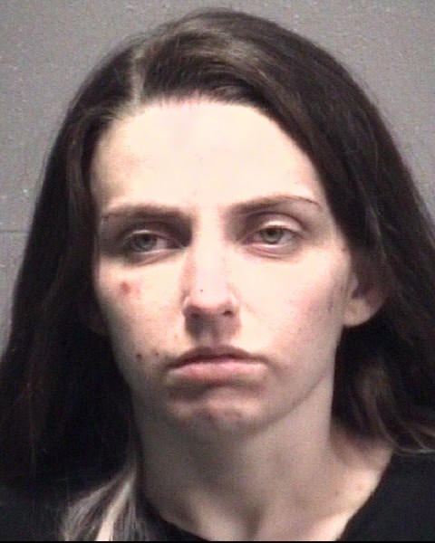 PINER MADISON CHRISTINE 03/08/2021 - New Hanover County Mugshots Zone