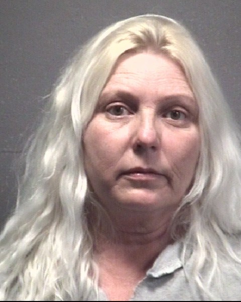 SASSER SUSAN WILLIAMS 04/08/2021 - New Hanover County Mugshots Zone