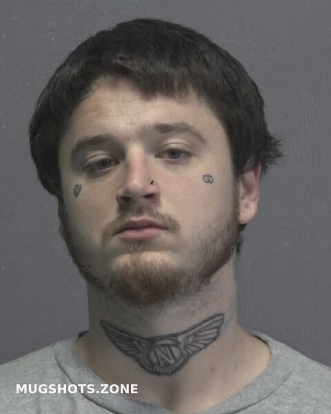 HOLLEMAN JAMES ASHLEY CLAYTON 07/29/2022 - New Hanover County Mugshots Zone