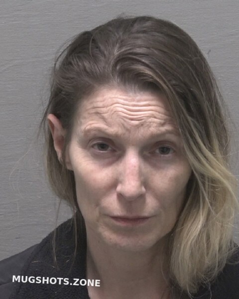 CASEY DAWN CARMEN 11/09/2022 - New Hanover County Mugshots Zone