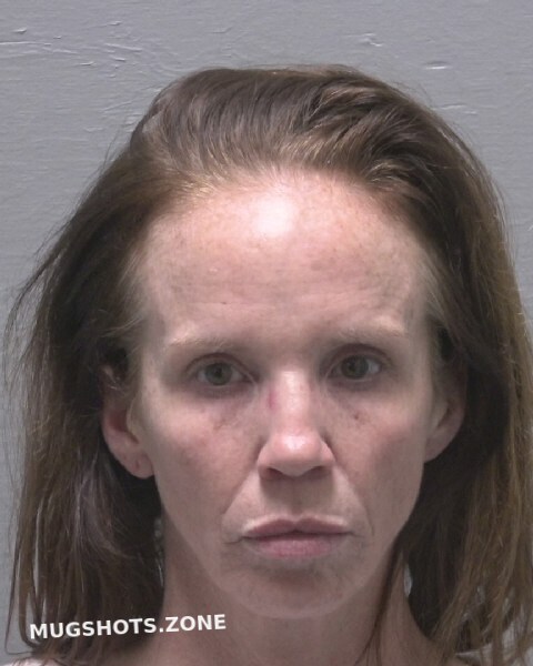 DOOLITTLE HEATHER BLUE 12/11/2022 - New Hanover County Mugshots Zone