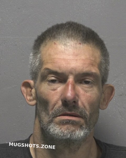 ANGEL TRAVIS LEE 02/17/2023 - New Hanover County Mugshots Zone