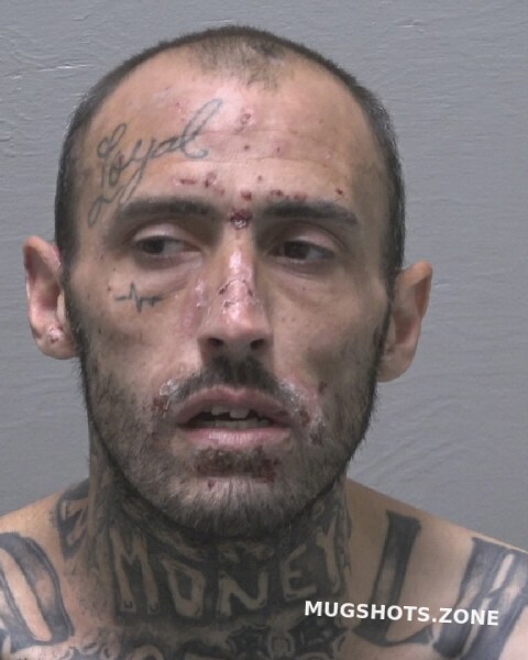 Fowler Shannon Lee 04 06 2023 New Hanover County Mugshots Zone