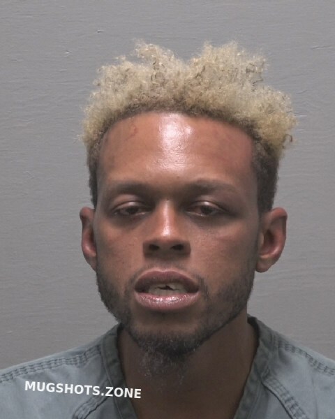 LLERENA PETER LEON 06/07/2023 - New Hanover County Mugshots Zone