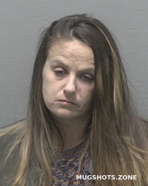 WILLIAMSON JESSICA LYNN 06/17/2023 - New Hanover County Mugshots Zone