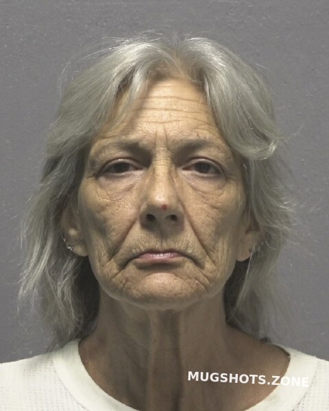 PADEN LISA JEAN 07/07/2023 - New Hanover County Mugshots Zone