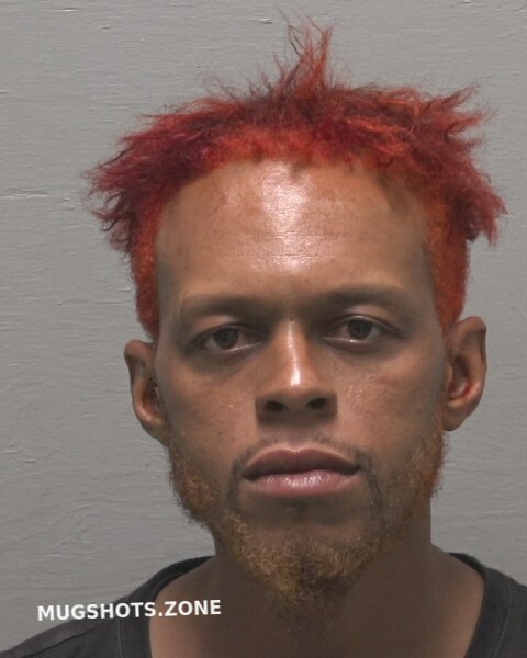 LLERENA PETER LEON 07/23/2023 - New Hanover County Mugshots Zone