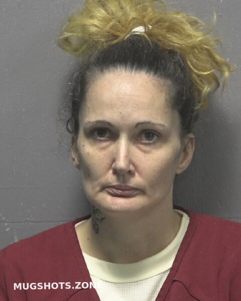 STONEHILL LISA MARIE 08/02/2023 - New Hanover County Mugshots Zone