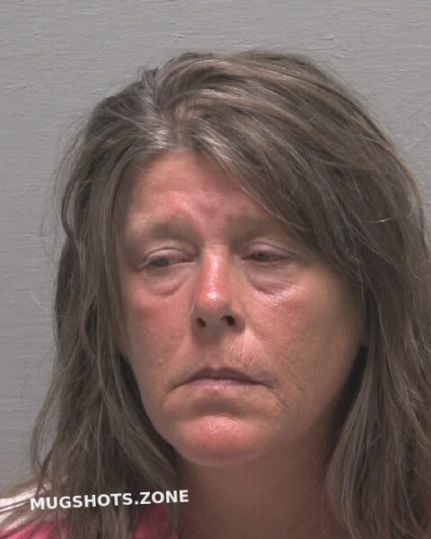 BEAVER HEATHER LYNN 08/12/2023 - New Hanover County Mugshots Zone