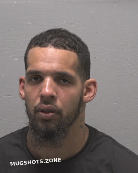 WEBB-SHOLAR MAURICE JASON 08/22/2023 - New Hanover County Mugshots Zone