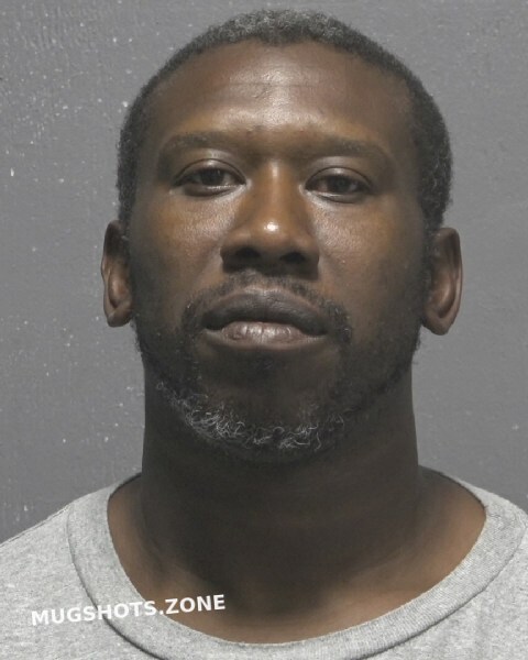 BELLE JAMAR LEE 08/29/2023 - New Hanover County Mugshots Zone