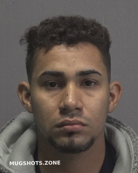 CANALES-PALMA DAVID DANIEL 09/07/2023 - New Hanover County Mugshots Zone