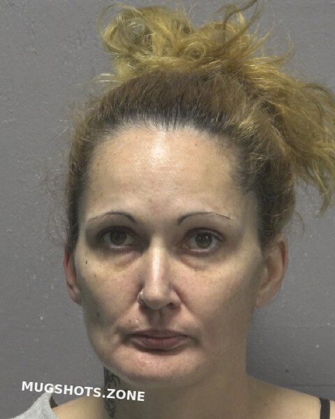 STONEHILL LISA MARIE 09/20/2023 - New Hanover County Mugshots Zone